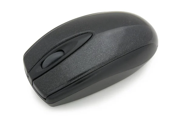 Pictures : mouse computer | Computer mouse front view isolated. — Stock ...