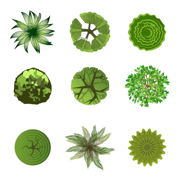 539 Trees plan view Vector Images | Depositphotos