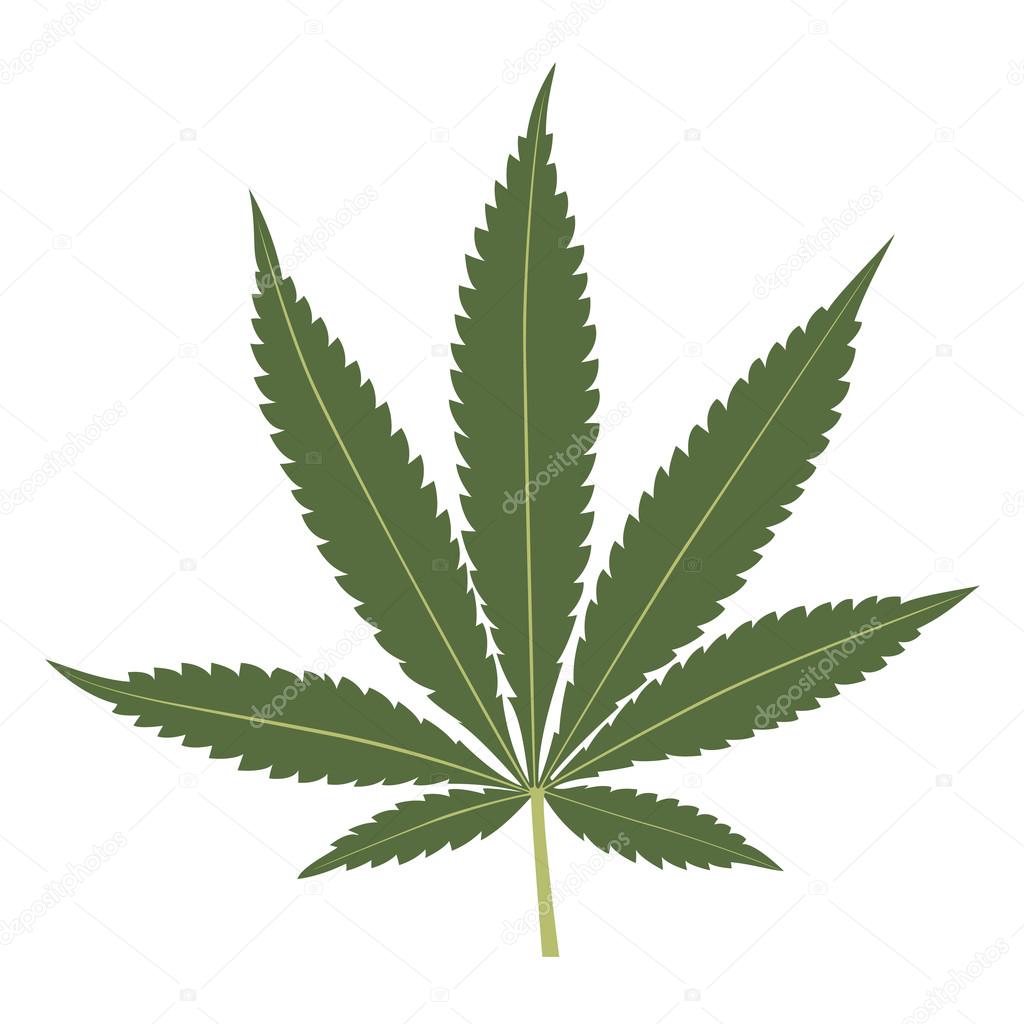 Weed Leaf Vector