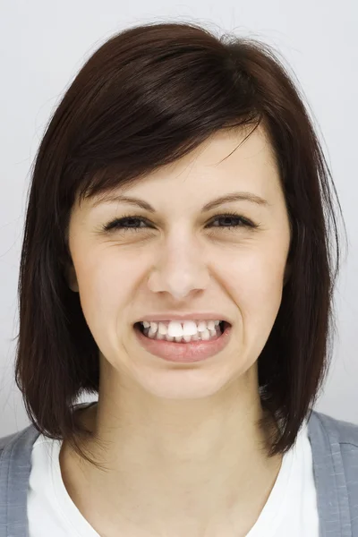 Snarling Stock Photos, Royalty Free Snarling Images | Depositphotos