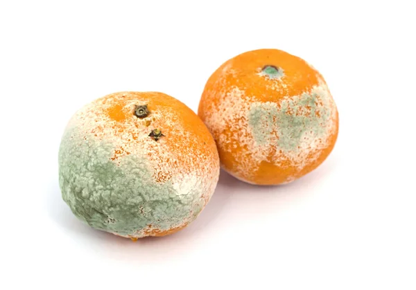 Damaged fruit Stock Photos, Royalty Free Damaged fruit Images ...