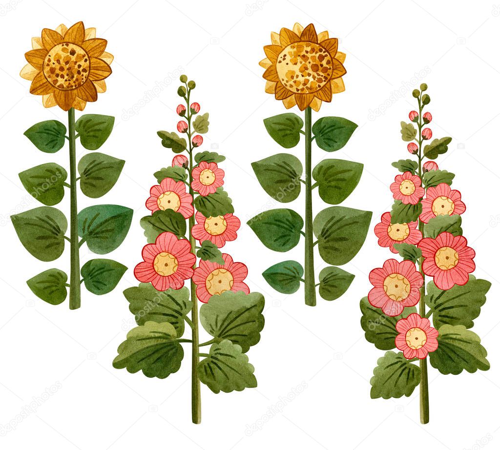 Lindo conjunto de acuarela con flores granjas. Aislado sobre fondo blanco. 2023