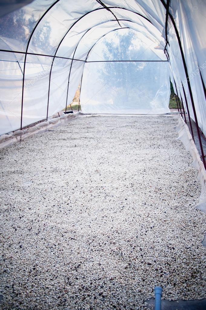 Process of drying coffee beans in clean room Stock Photo by ©thegoatman ...