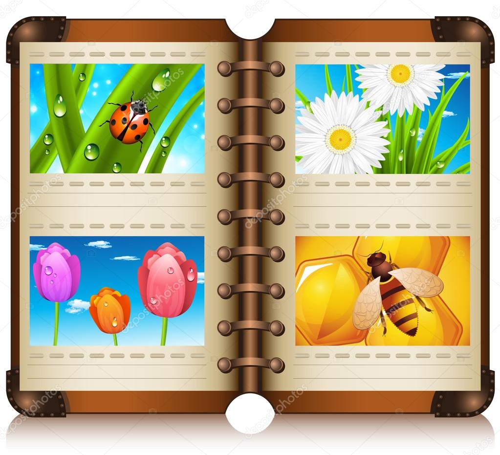 Album Stock Vector Image by ©grki #39333757