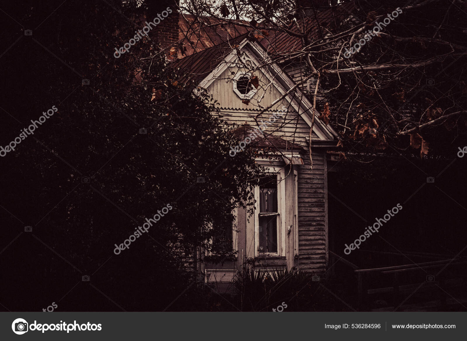 Old Abandoned Dilapidated Creepy Scary House Rural Georgia — Stock ...