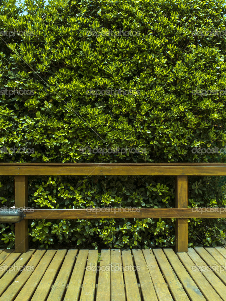 Living fence Stock Photo by ©SimonLaprida 39214731