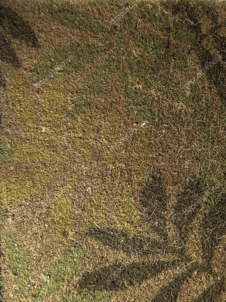 Carpet with pattern of leaves Stock Photo by ©SimonLaprida 39214889