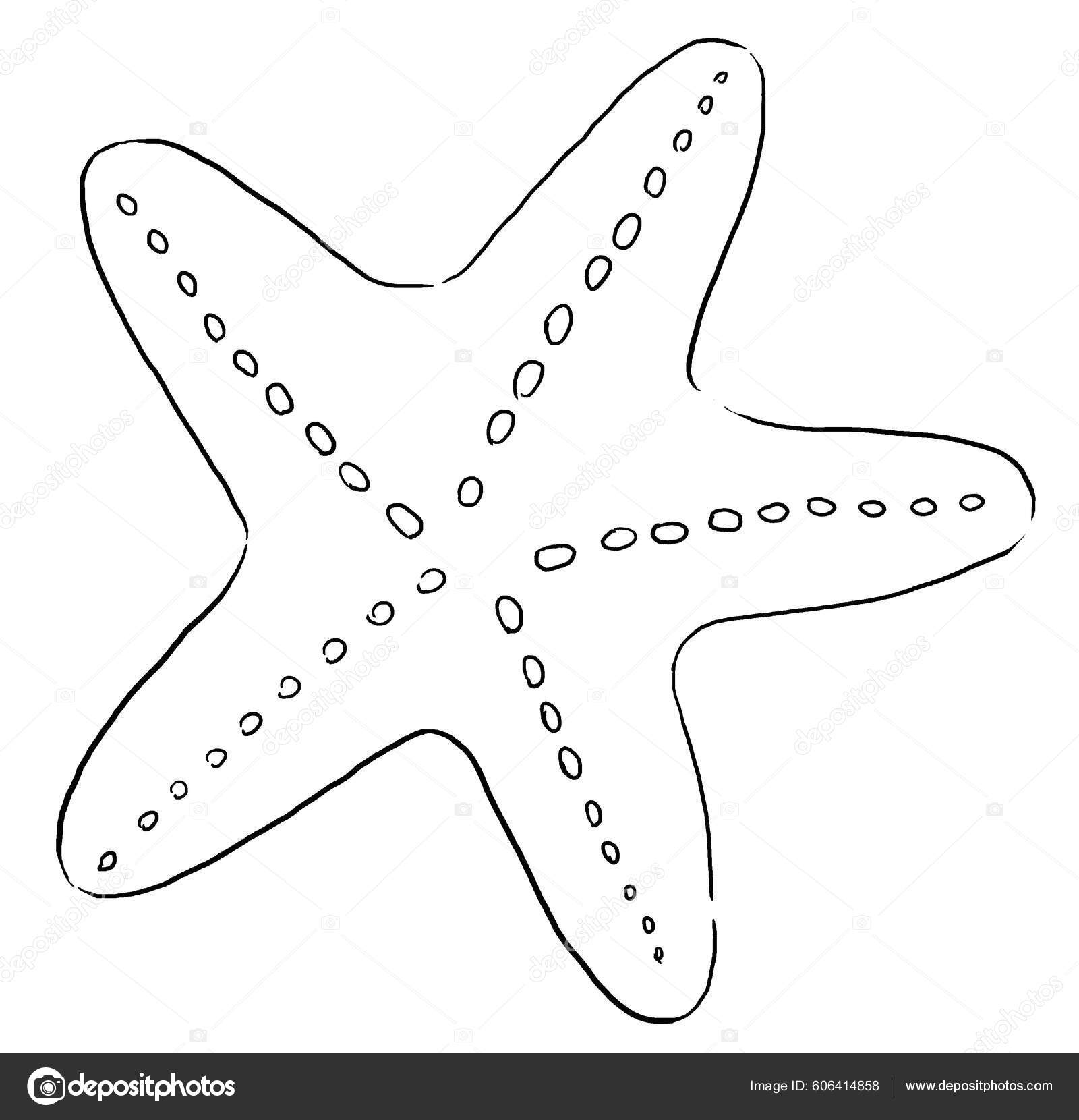 Wedding Starfish Outline