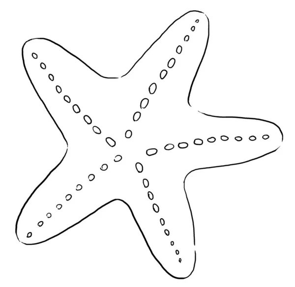 Starfish Clipart Free