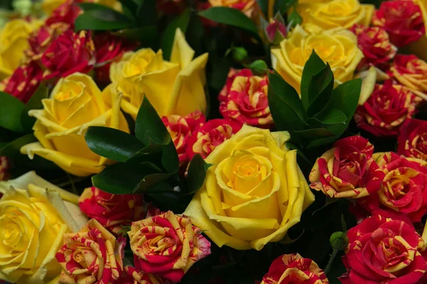 bouquet of colorful assorted roses on white — Stock Photo © LiliGraphie ...