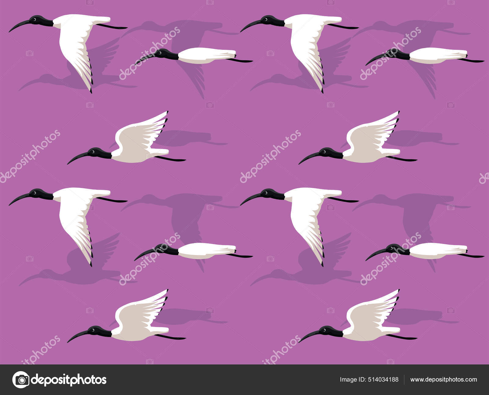 Animal Animation Sequence Australian White Ibis Flying Cartoon Vector ...