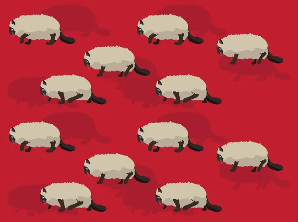 106 Ragdoll cat Stock Illustrations | Depositphotos