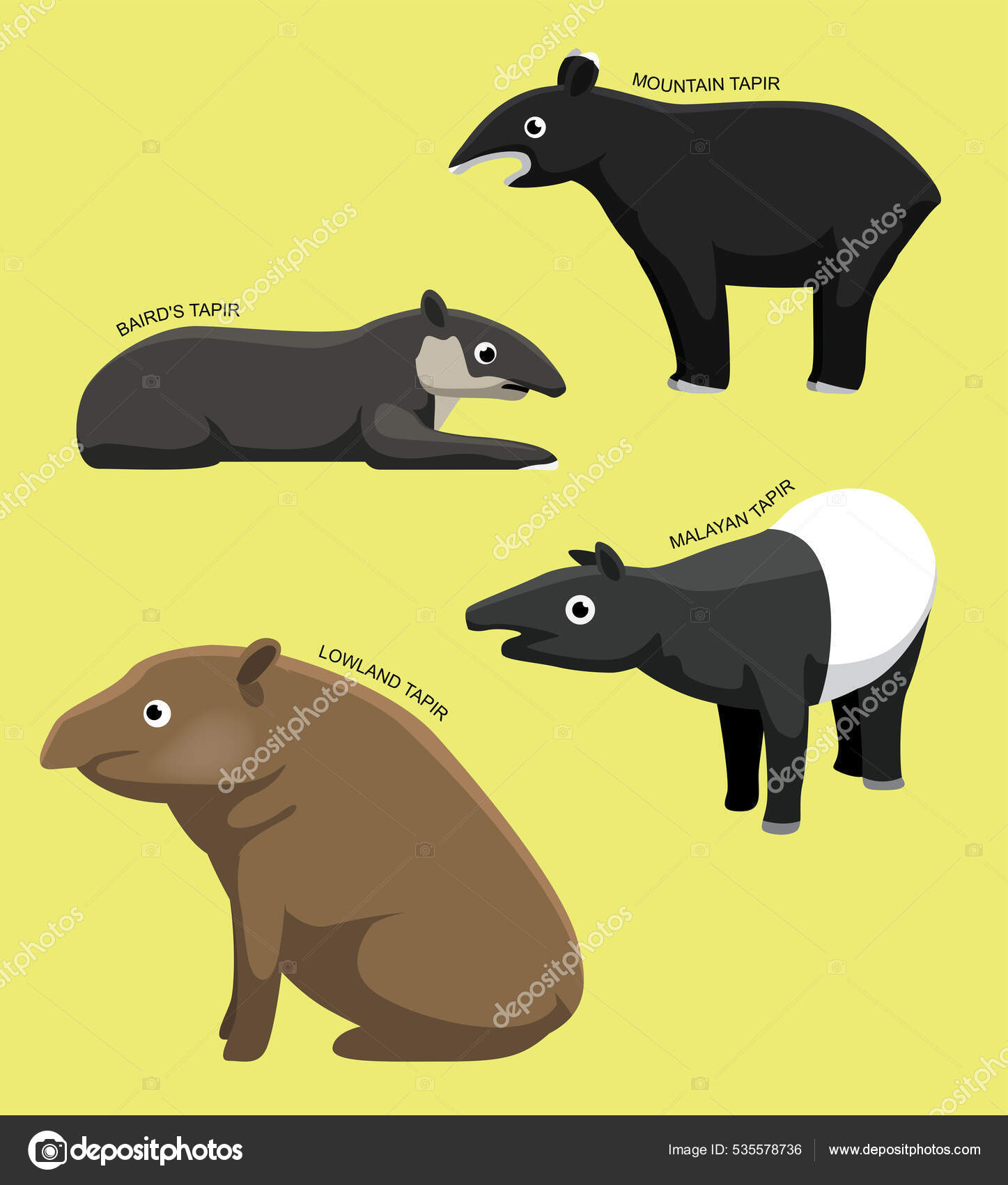 Malayan Tapir Drawing