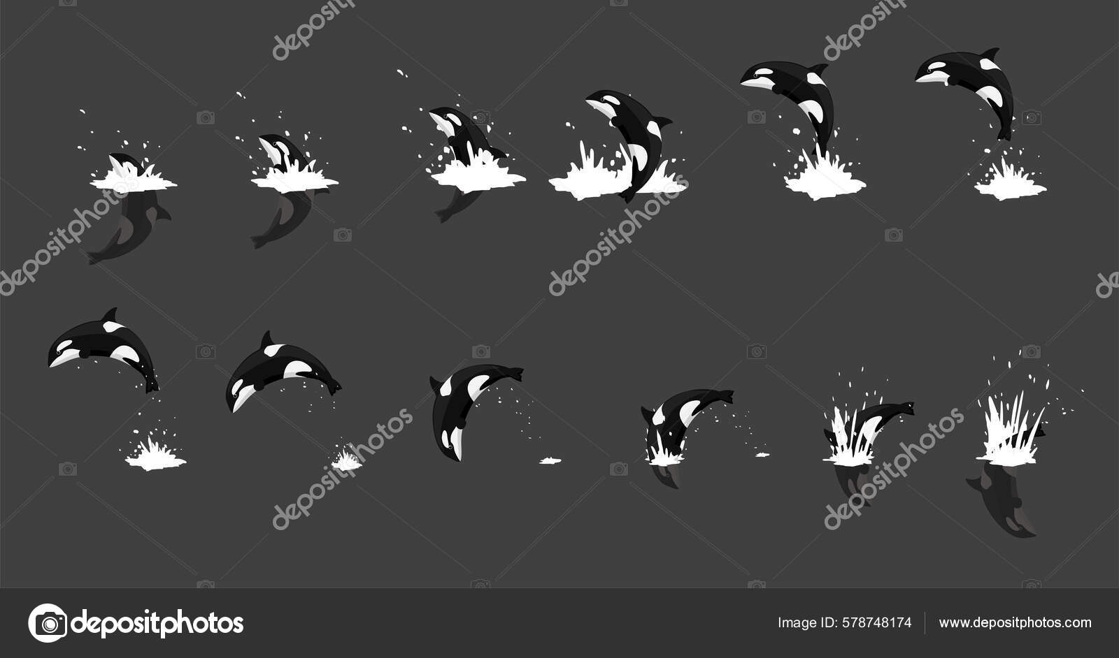 Animation Animale Orca Jumping Cartoon Vector Vecteur par ©Punnawich ...