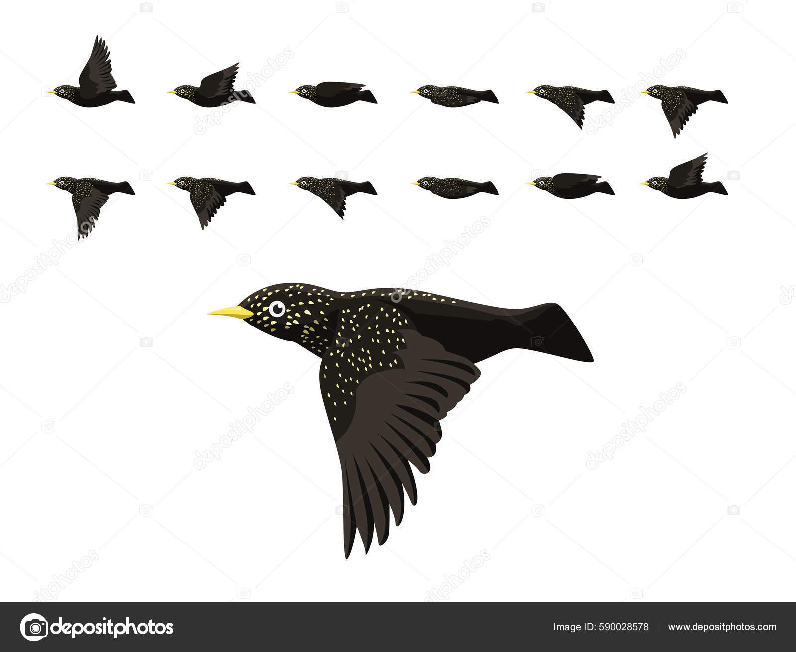Animation Common Starling Flying Cute Cartoon Vector Illustration ...