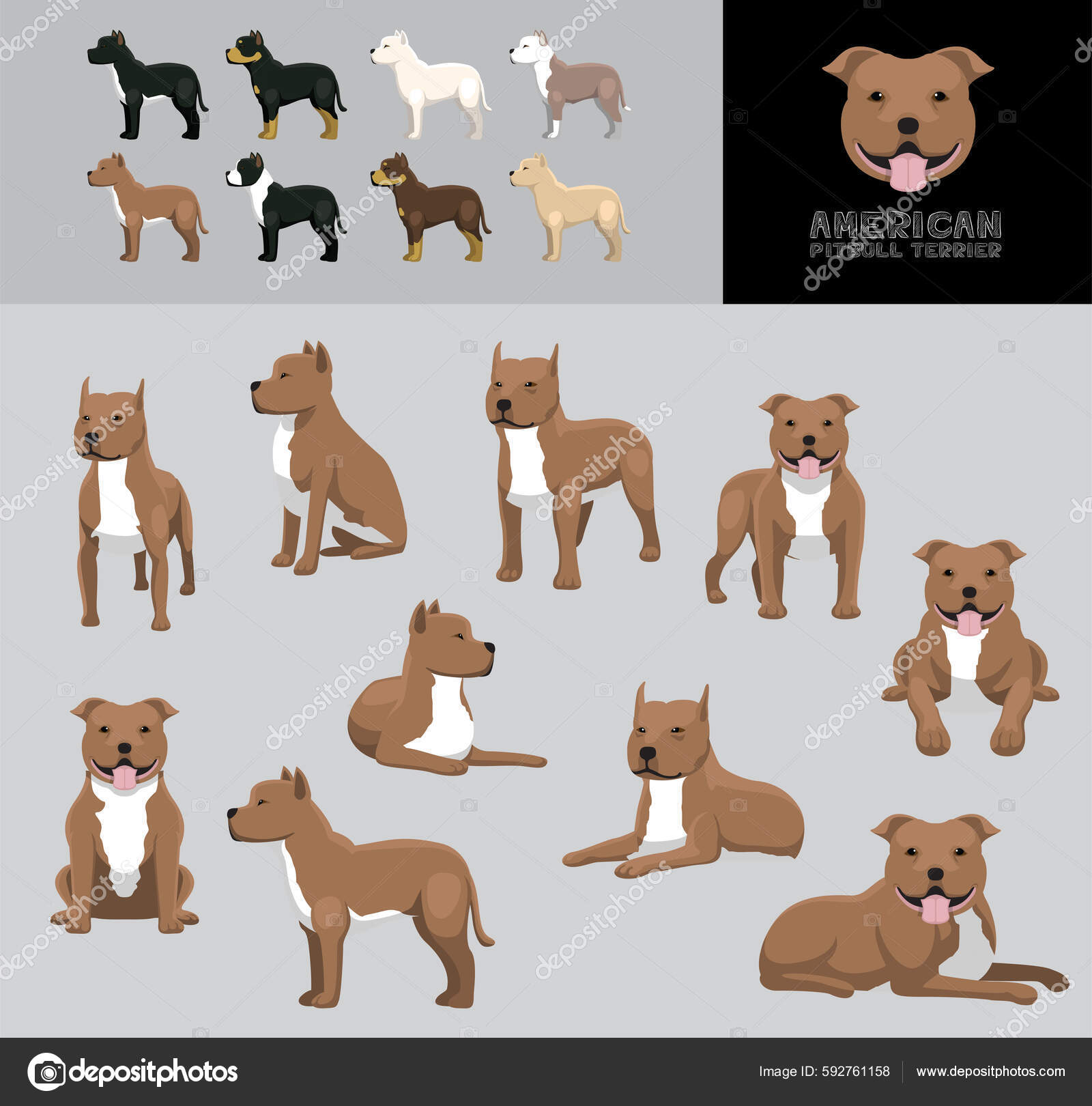 Dog American Pitbull Terrier Cartoon Vector Illustration Color ...
