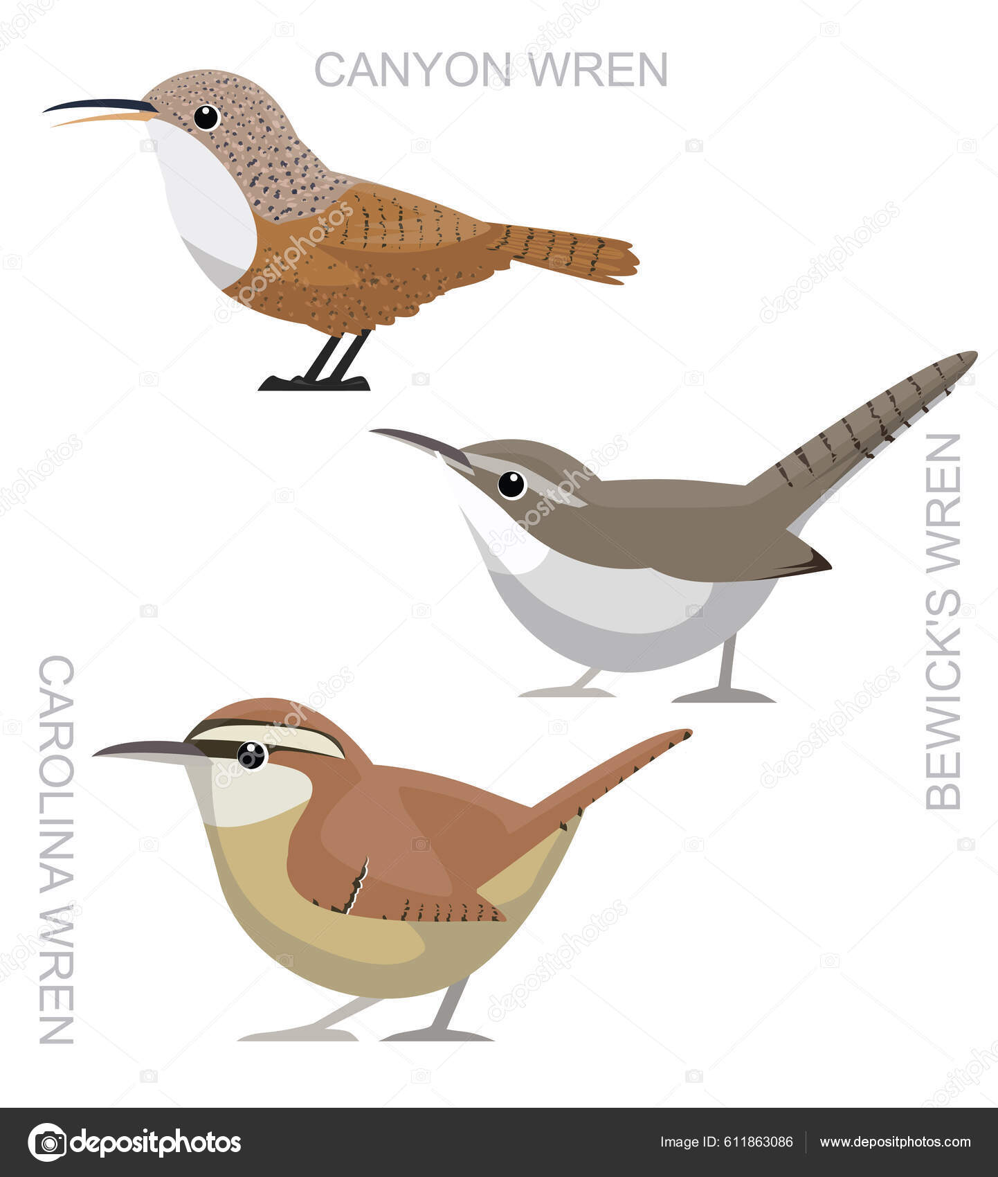 Cute Bird Carolina Wren Set Cartoon Vector Stock Vector by ©Punnawich ...
