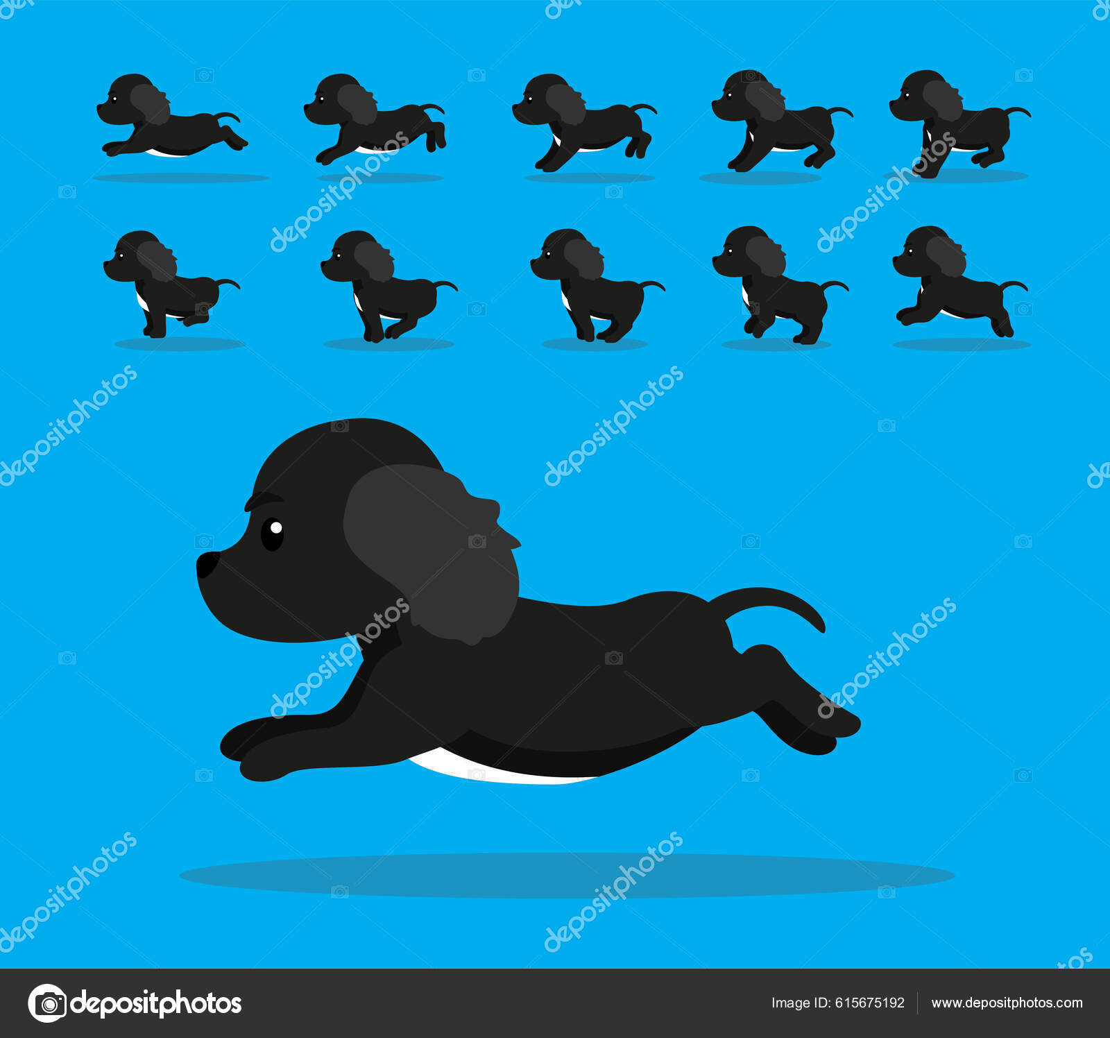 Secuencia Animación Animal Perro Sprocker Spaniel Vector Dibujos ...