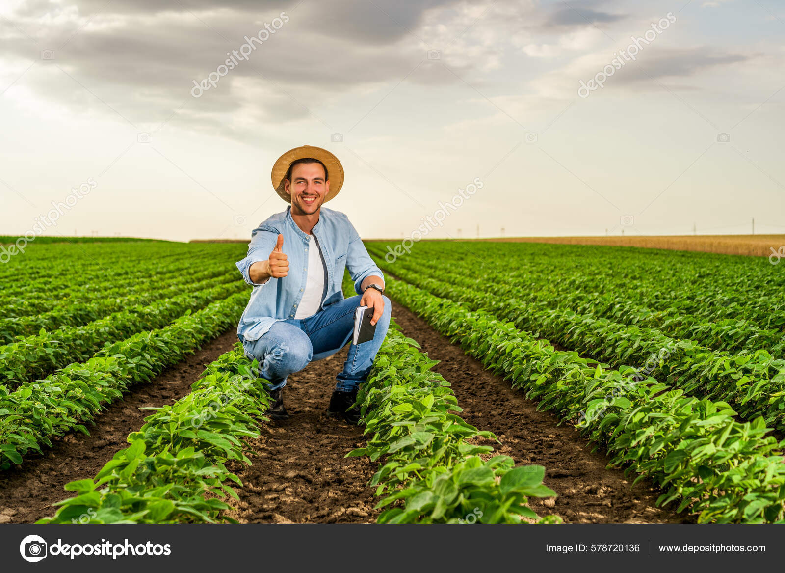Happy Farmer Showing Thumb While Spending Time His Growing Soybean ...