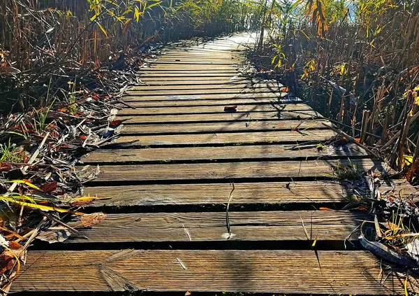 Plank trail Stock Photos, Royalty Free Plank trail Images | Depositphotos