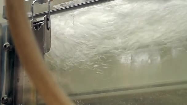 37,787 Water bath Videos, Royalty-free Stock Water bath Footage ...