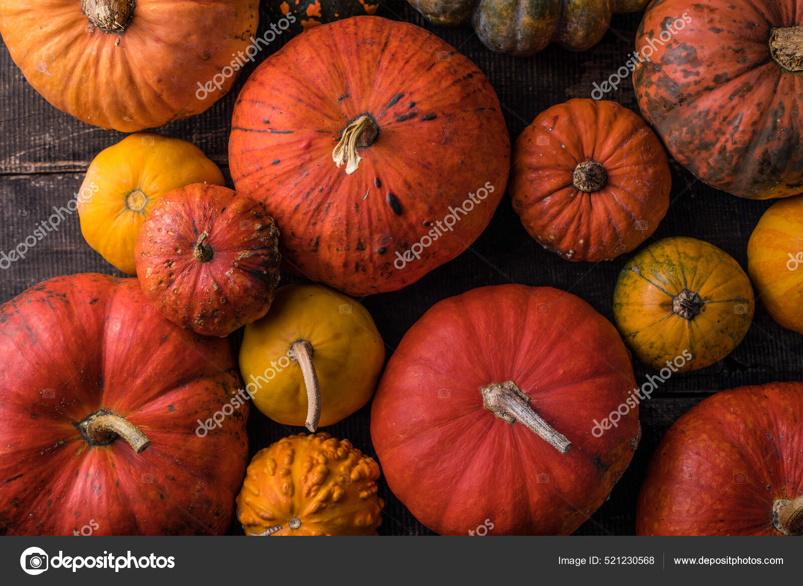 Pile Many Multi Colored Pumpkins Gourds Different Shapes Colors ...