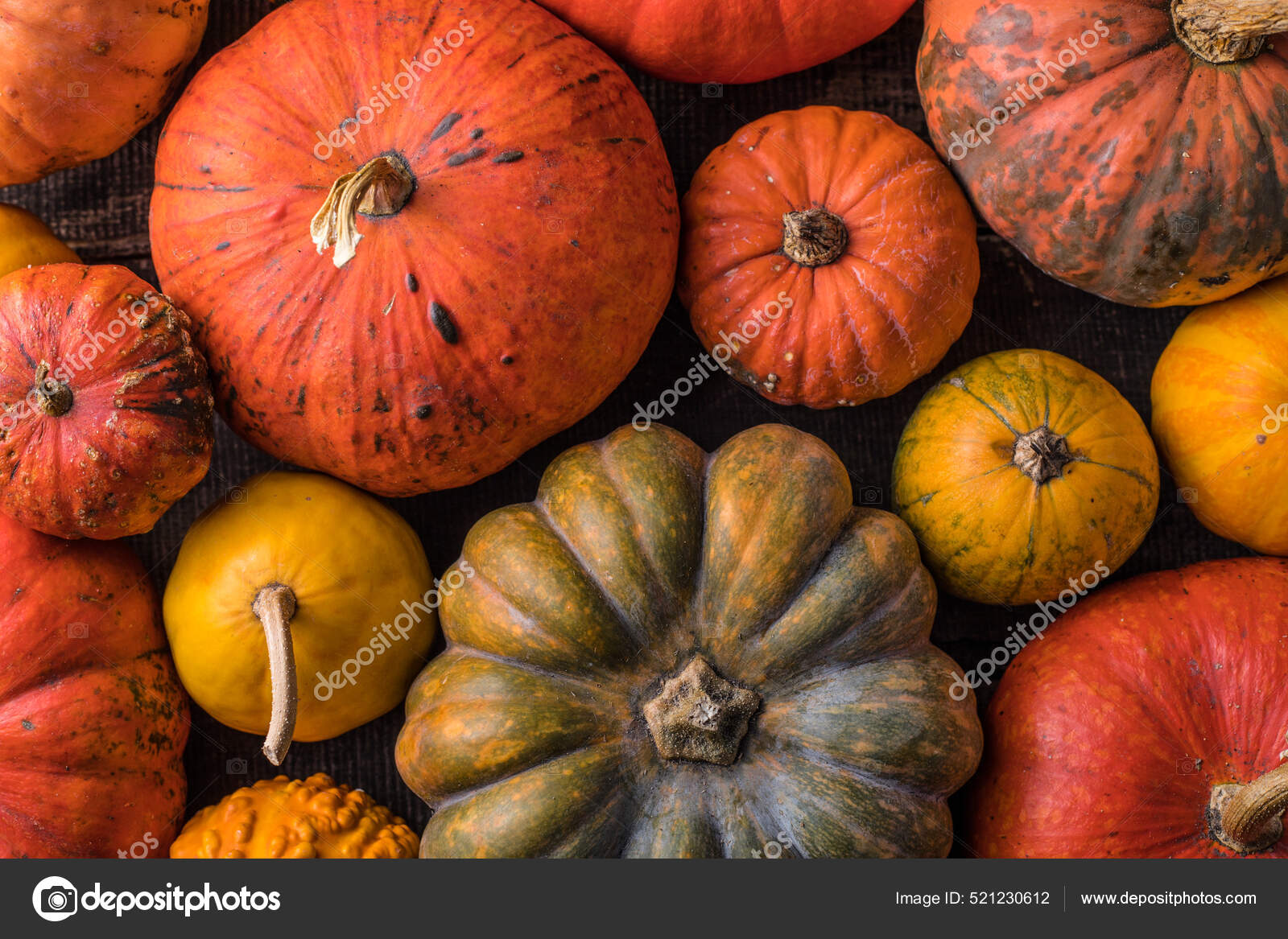 Pile Many Multi Colored Pumpkins Gourds Different Shapes Colors ...