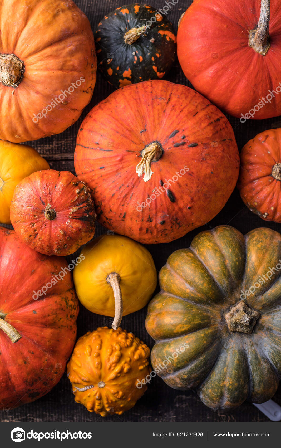 Pile Many Multi Colored Pumpkins Gourds Different Shapes Colors ...