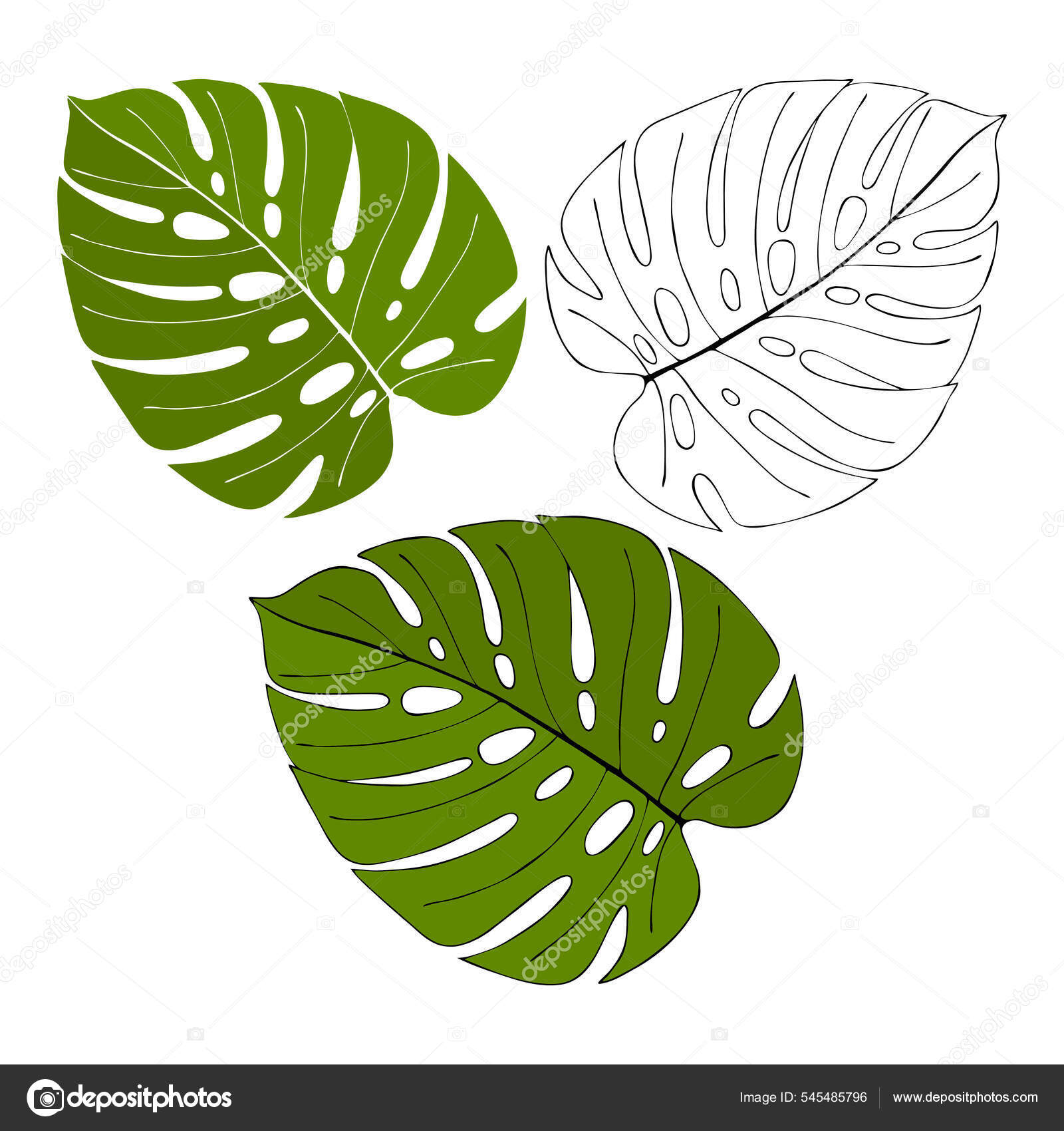Monstera tegnet omriss av tegnestifter, sett av blader med og uten omriss, omrisset silhuett ...