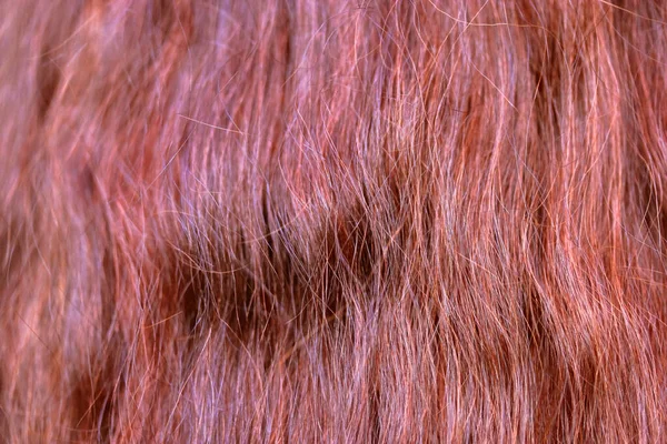Red hair texture Stock Photos, Royalty Free Red hair texture Images ...