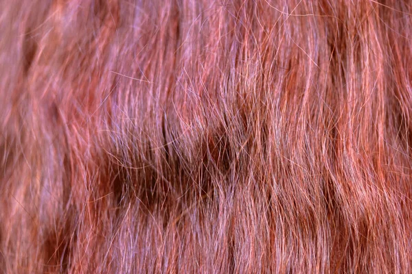 Red hair texture Stock Photos, Royalty Free Red hair texture Images ...