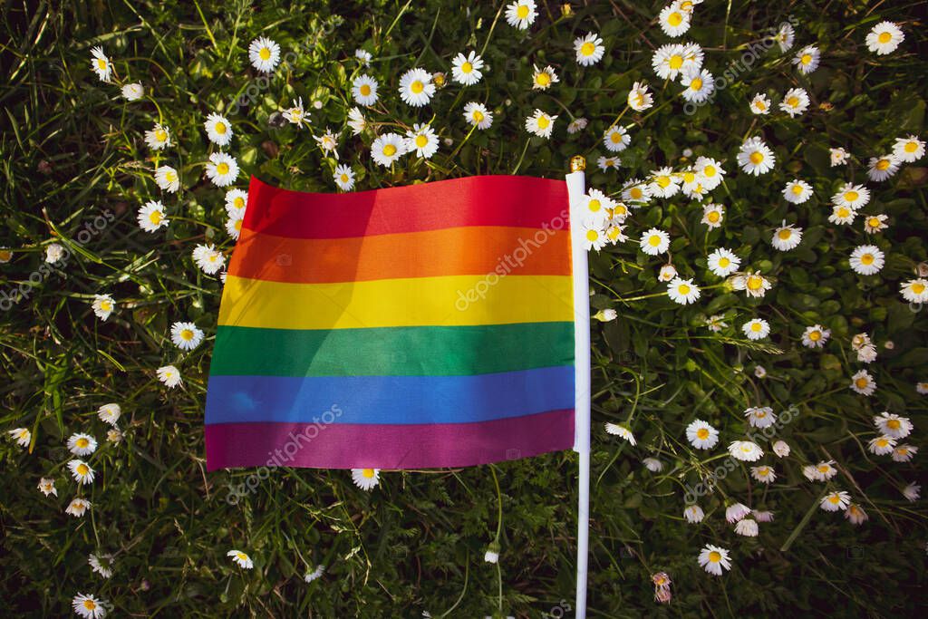Bright LGBT flag is lying on green grass among white blossoming daisy ...