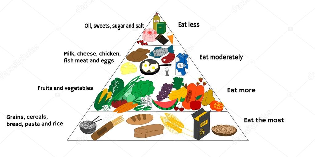 Food diagram Stock Vector Image by ©anitaka #46027155