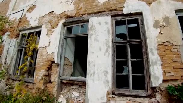 632 Edificio della sinagoga Videos, Royalty-free Stock Edificio della ...