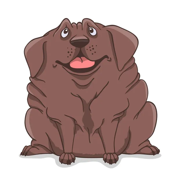 Chocolate labrador Vector Art Stock Images | Depositphotos