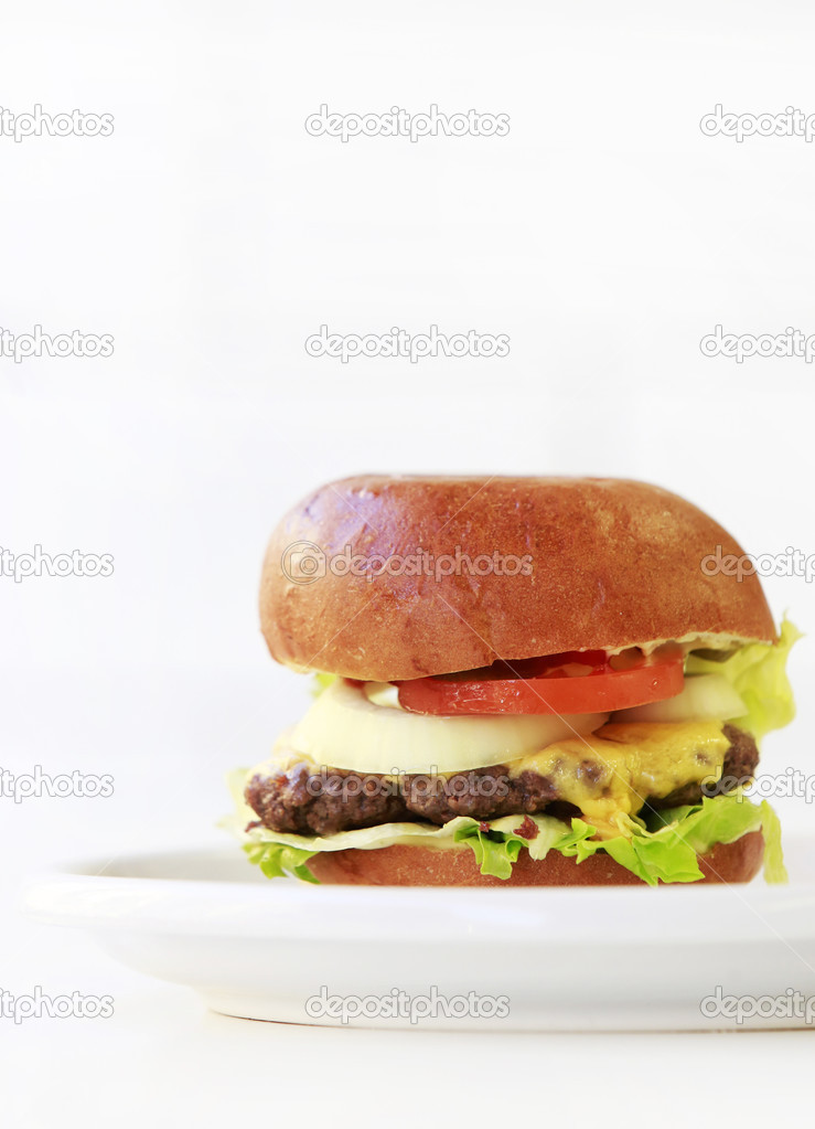 Big cheeseburger — Stock Photo © kristt #42354845
