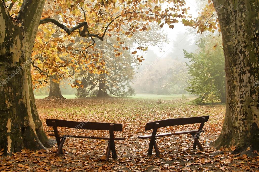 Benches Stock Photo by ©Elegant01 39461171