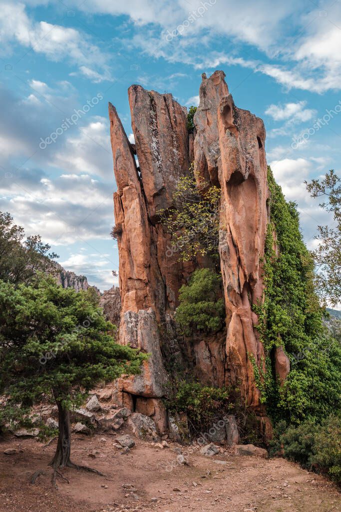 rboles revoloteando dentro de una torre de roca en las Calanchas de ...