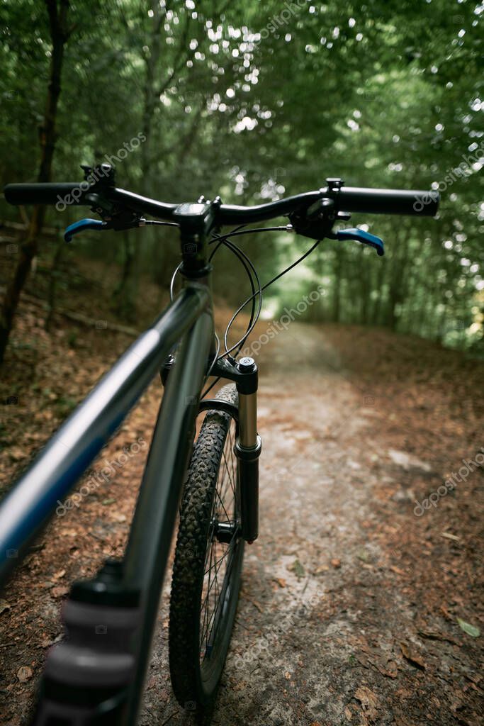 Bicycle frame, air suspension fork and handlebar with brake handle with ...