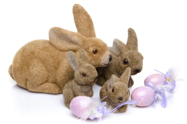 Four cute bunnies — Stock Photo © dip2000 #1732402