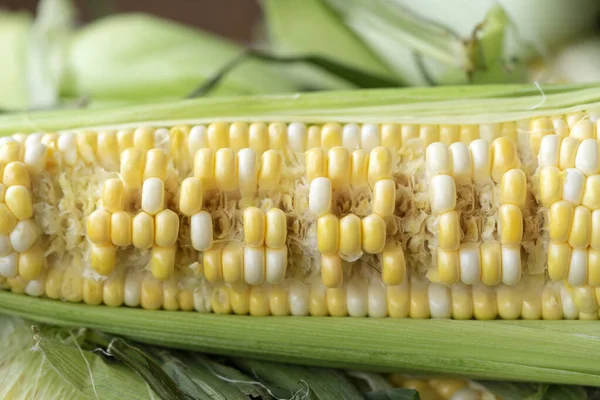 Corn leaves Images - Search Images on Everypixel