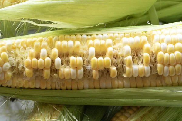 Corn leaves Images - Search Images on Everypixel