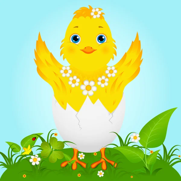 Animado Un Pollito Vector Ilustracin De Dibujos