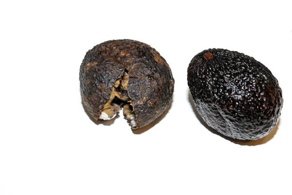 Seeds from the avocado Stock Photos, Royalty Free Seeds from the ...