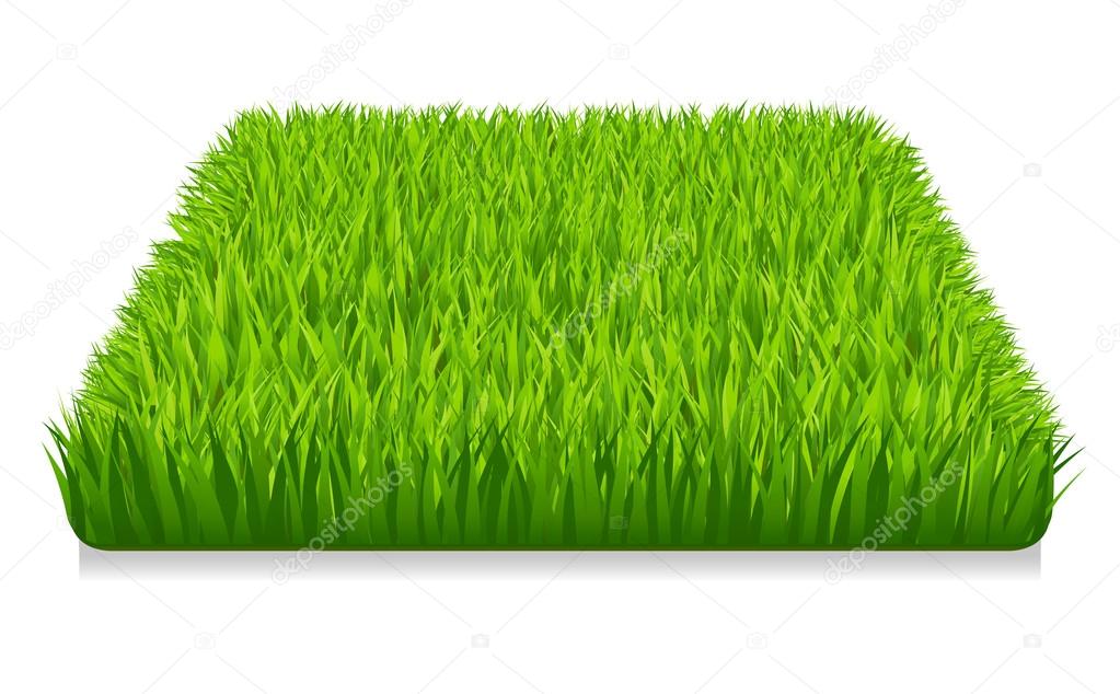 Pasto verde con — Vector de stock #40851263 — Depositphotos