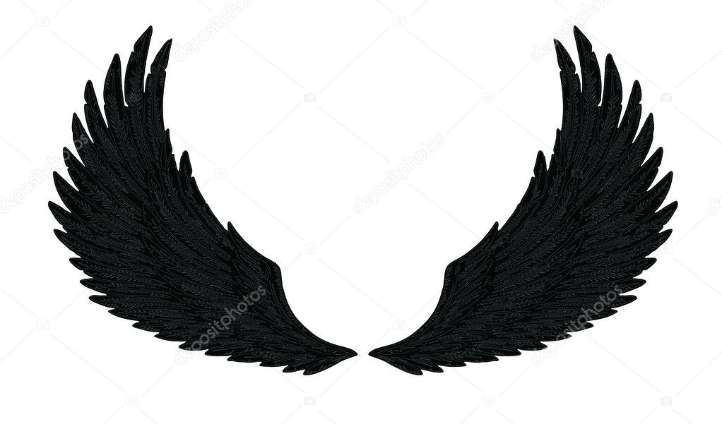 Alas negras vector, gráfico vectorial © amino10 imagen #43959375