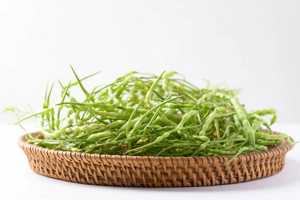 rabo de rata rábano, rábano serpiente o rábano cola (Raphanus caudatus ...