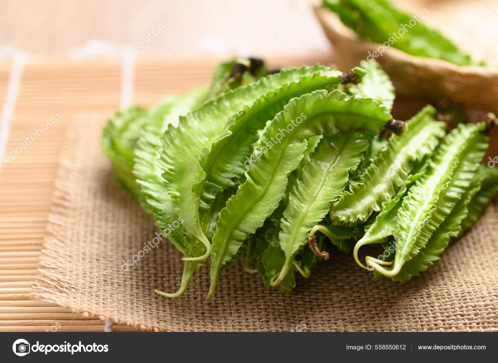 Winged Bean Organic Vegetable Local Market Southeast Asia Stock Photo ...