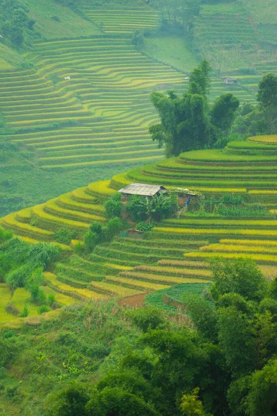 Chinese terraces chinese terraces Stock Photos, Royalty Free Chinese ...