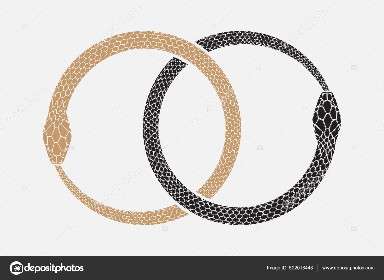 Ouroboros Snake Infinity